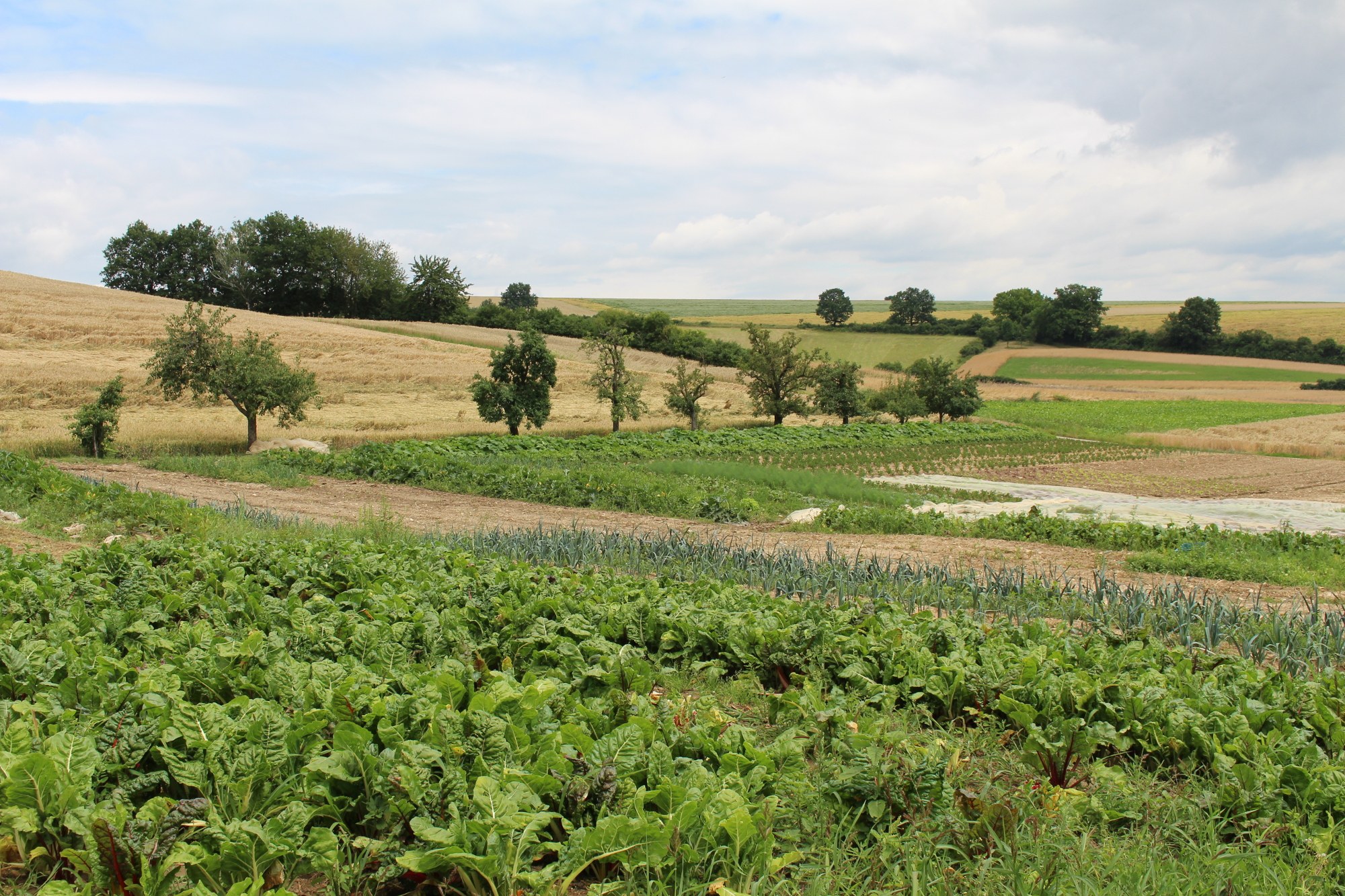 Ziele des Volksbegehrens aus Bayern mit nach Berlin nehmen - LBV