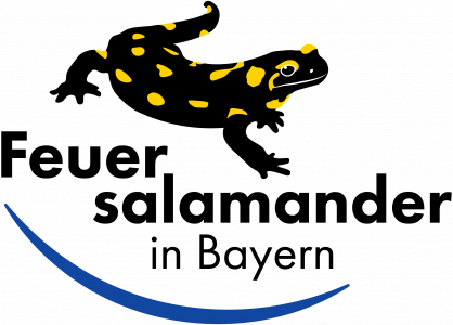 Projekthintergrund Feuersalamander - LBV