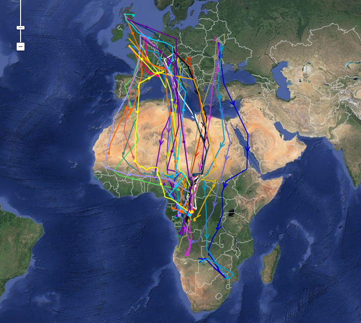 Tagebuch der bayerischen Sender-Kuckucke - LBV