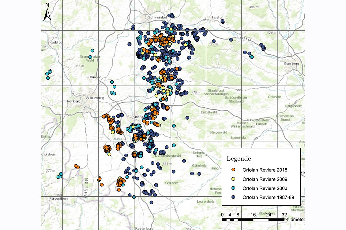 Ortolan Brutsaison 2015 in Bayern: Der Ortolan-Bestand nimmt wieder zu ...