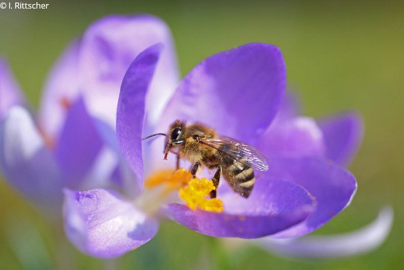 Alle freien Stellen beim LBV auf einen Blick - LBV - Gemeinsam Bayerns ...
